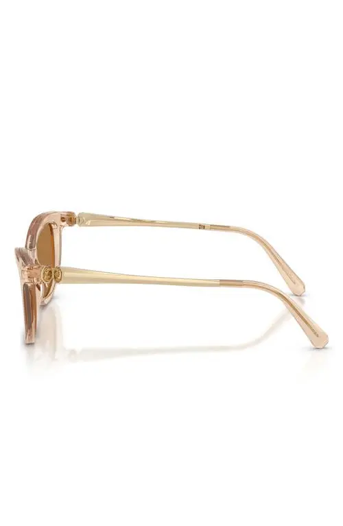 SWAROVSKI 56mm Cat-eye Sunglasses - Transparent Beige/bronze