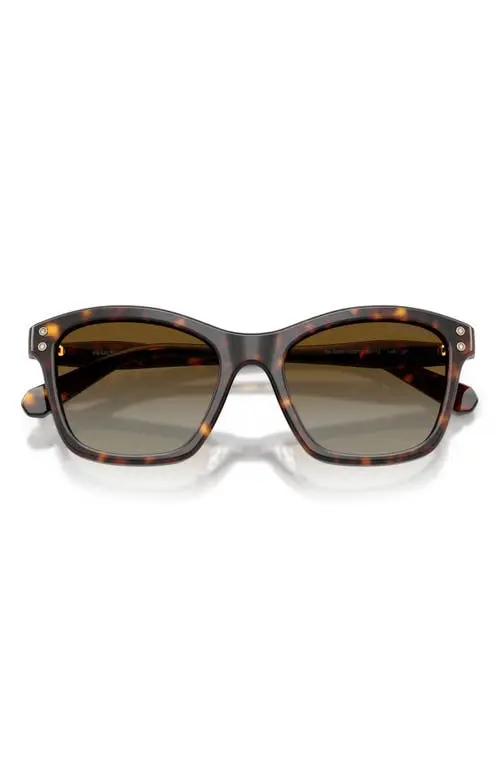 SWAROVSKI 54mm Gradient Polarized Square Sunglasses - Havana/polar Brown Gradient
