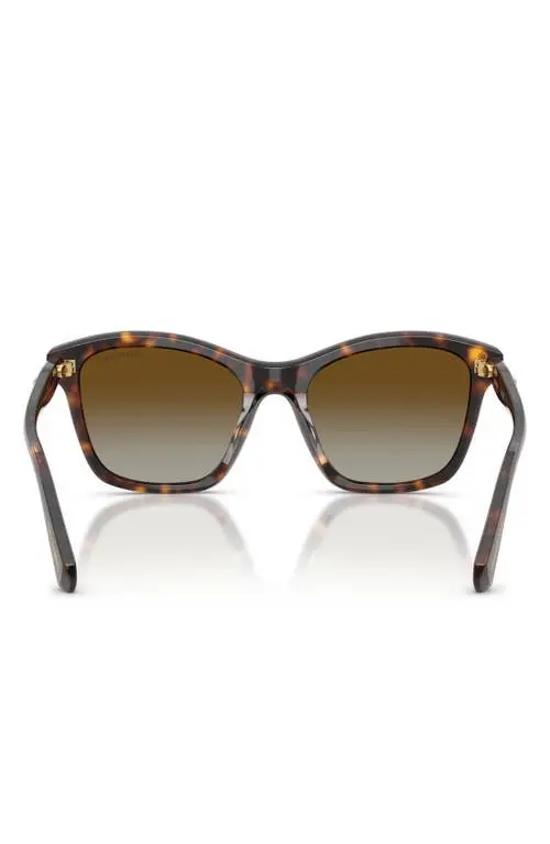 SWAROVSKI 54mm Gradient Polarized Square Sunglasses - Havana/polar Brown Gradient