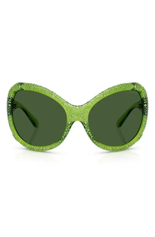 SWAROVSKI 72mm Butterfly Sunglasses - Transparent Green/dark Green