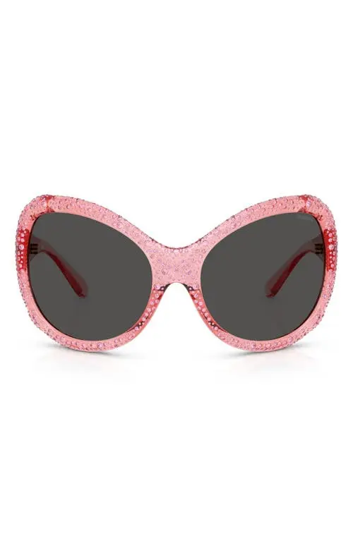 SWAROVSKI 72mm Butterfly Sunglasses - Transparent Pink/dark Grey