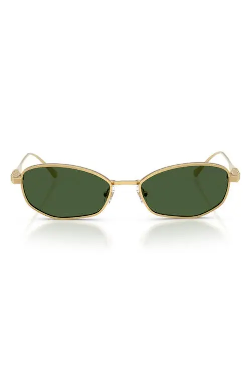 SWAROVSKI 55mm Pillow Sunglasses - Gold/dark Green