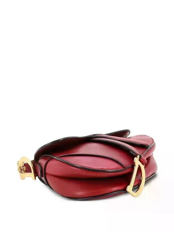 Dior Saddle Handbag Leather Mini Shoulder Bag