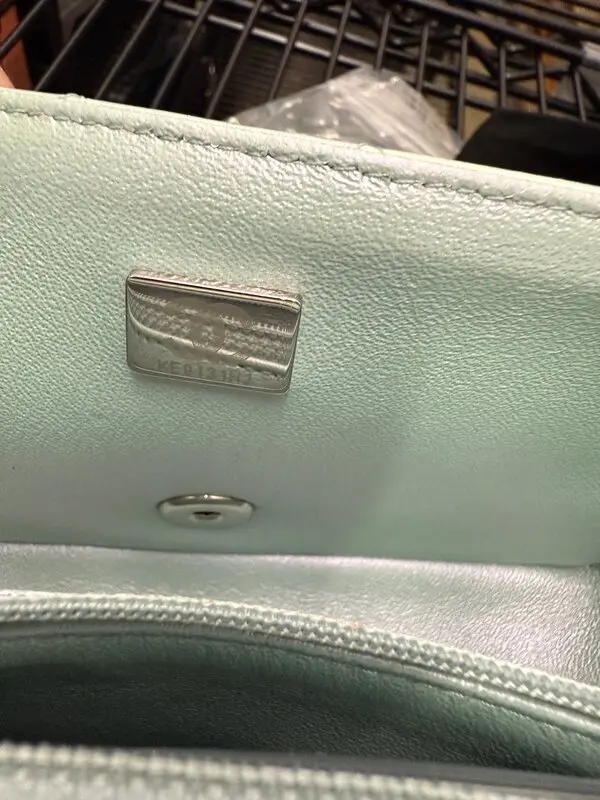 Chanel Iridescent Quilted Goatskin Rectangular Flap