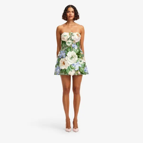 LEO LIN Roselle Floral Hand-embroidered Bustier Mini Dress - Blossom