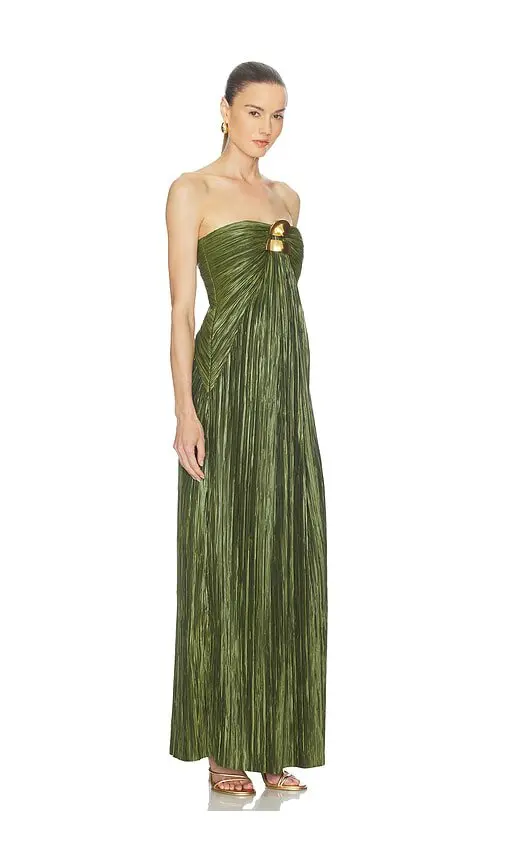 Cult Gaia Sequoia Gown