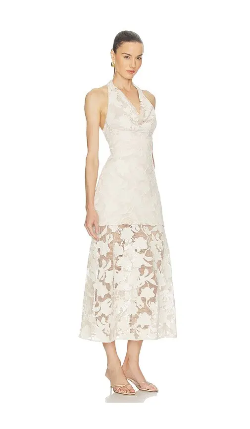 AMUR Calypso Cowl Neck Lace Dress