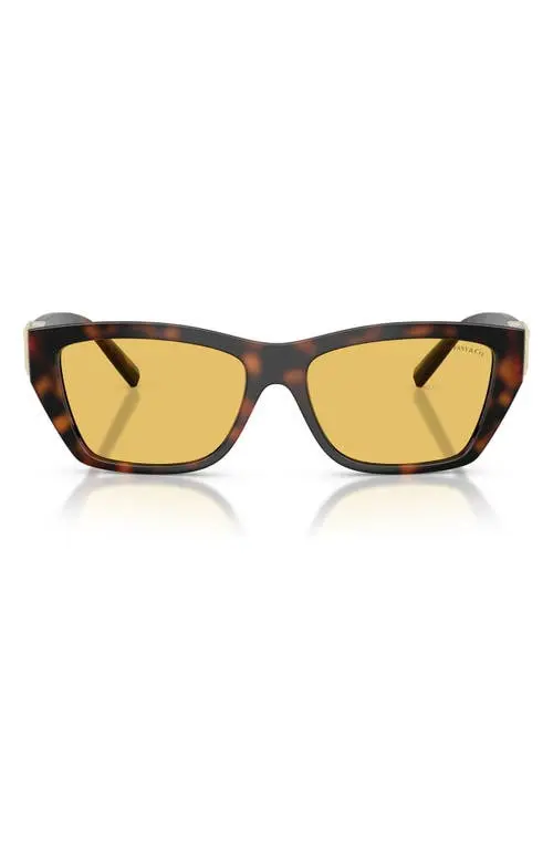 Tiffany & Co. Rectangular Sunglasses - Havana/yellow