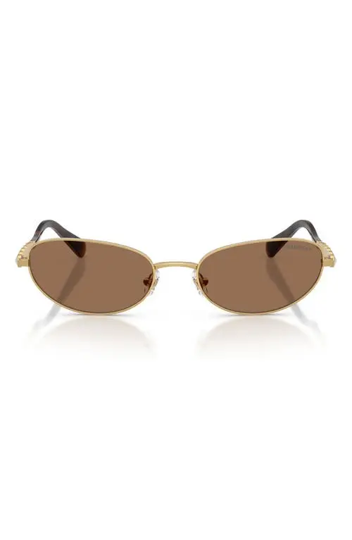 SWAROVSKI 56mm Oval Sunglasses - Gold/dark Brown