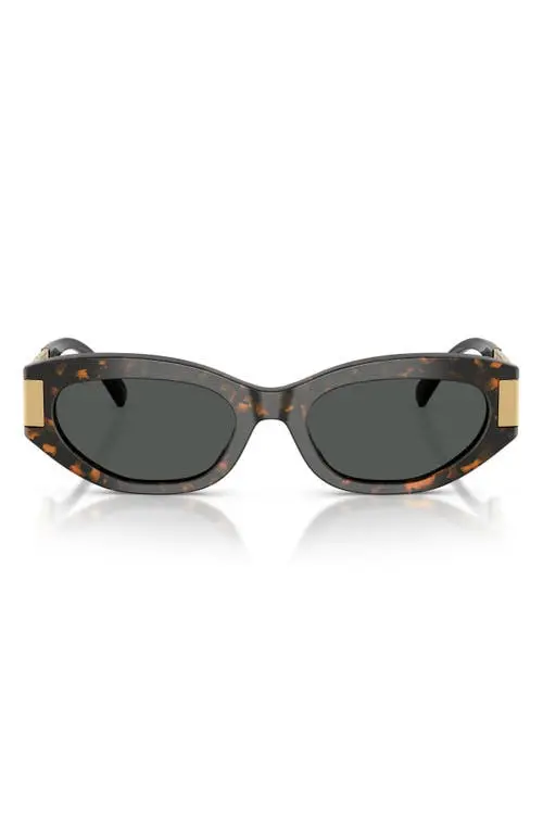 Versace 54mm Cat Eye Sunglasses - Brown Tortoise/dark Grey
