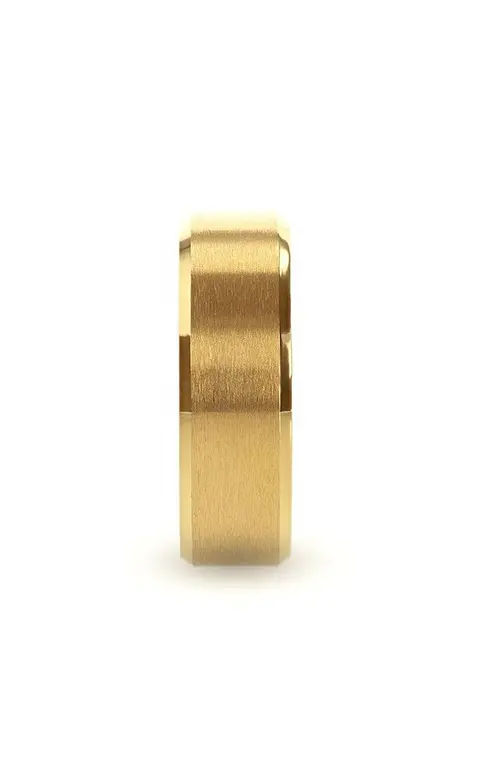 LARSON JEWELERS Radiate -plated Titanium Flat Brushed Center Wedding Ring