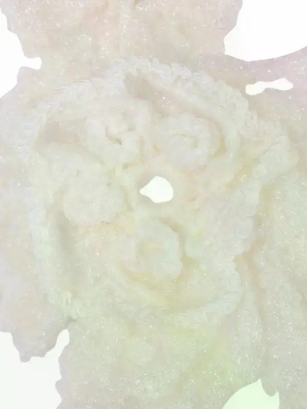 COMME DES GARÇONS TAO Floral-detail Crop Top