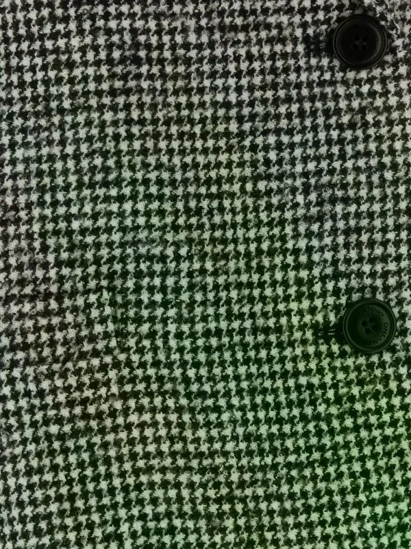 Ermanno Scervino Houndstooth Belted Jacket