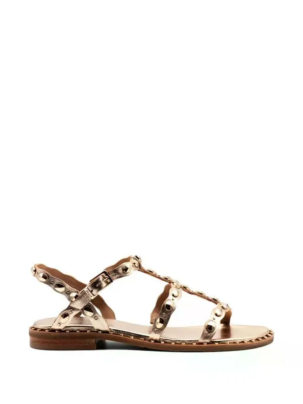Ash Studded Strap Sandals - Gold