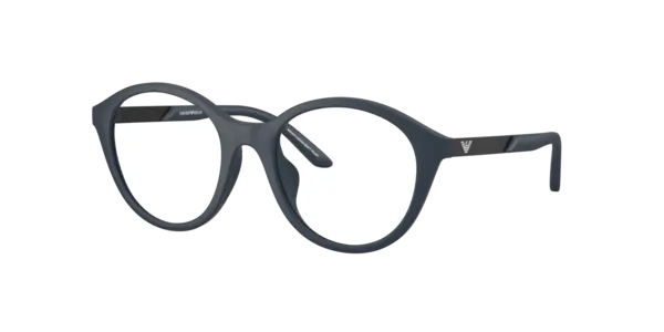 Emporio Armani Ek4005u Sunglasses - Clear