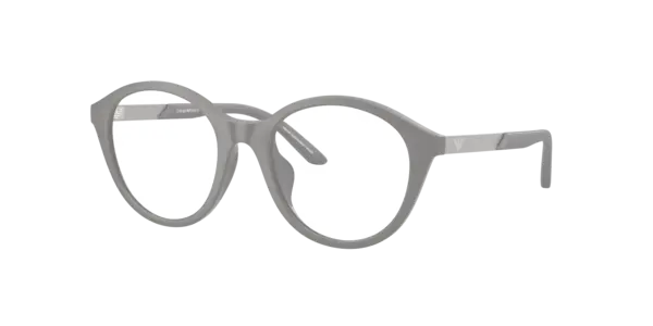 Emporio Armani Ek4005u Sunglasses - Clear