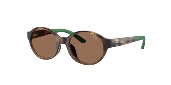 Polo Ralph Lauren Sunglasses - Dark Brown