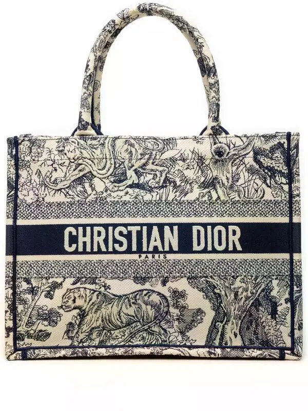 Dior 2022 Medium Dioriviera Toile De Jouy Book Tote Bag - Blue