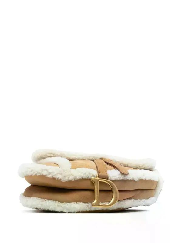 Dior 2020 Shearling Saddle Bag