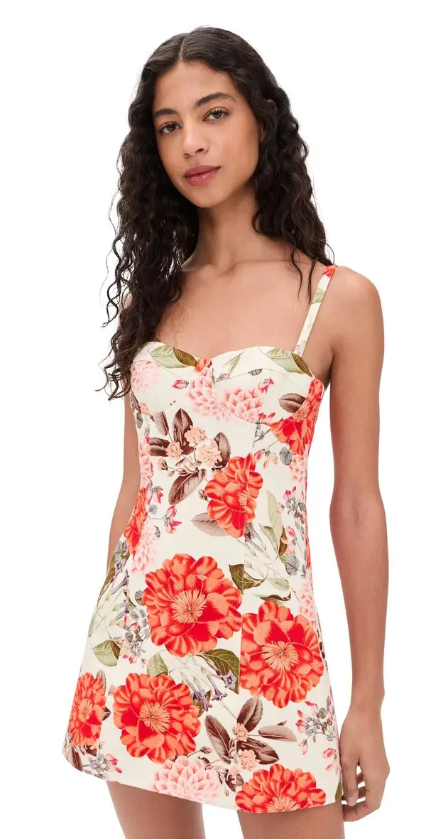 Cara Cara Claudine Mini Dress - Blossoms Egret