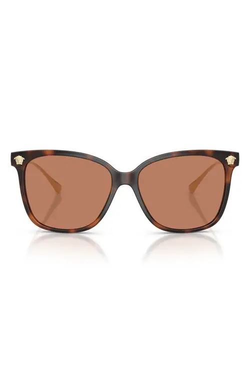 Versace 57mm Square Sunglasses - Havana/brown