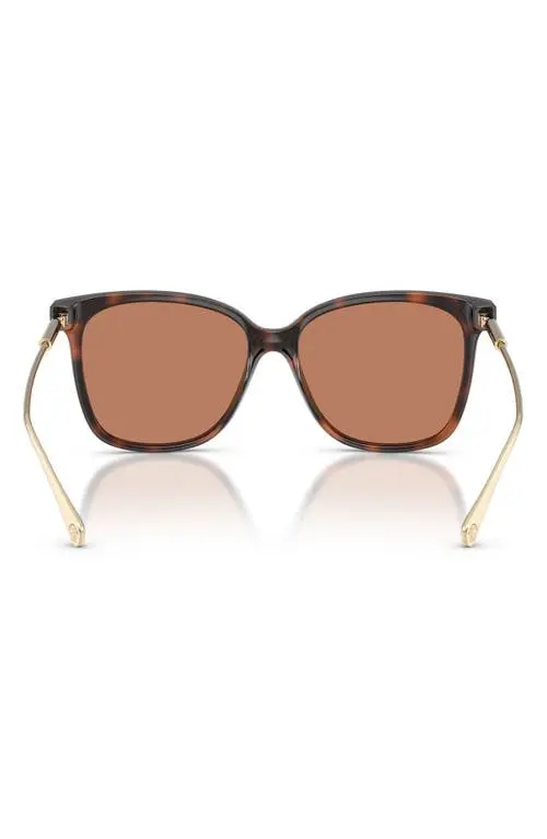Versace 57mm Square Sunglasses - Havana/brown