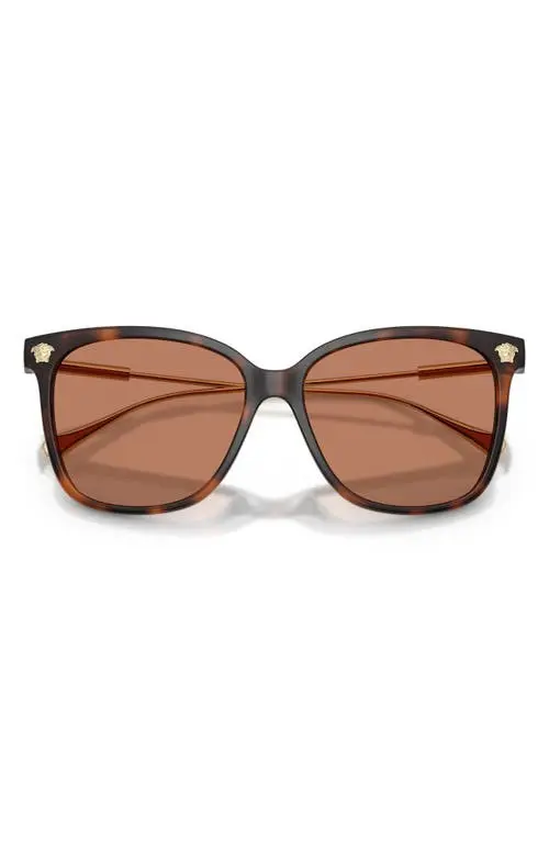 Versace 57mm Square Sunglasses - Havana/brown