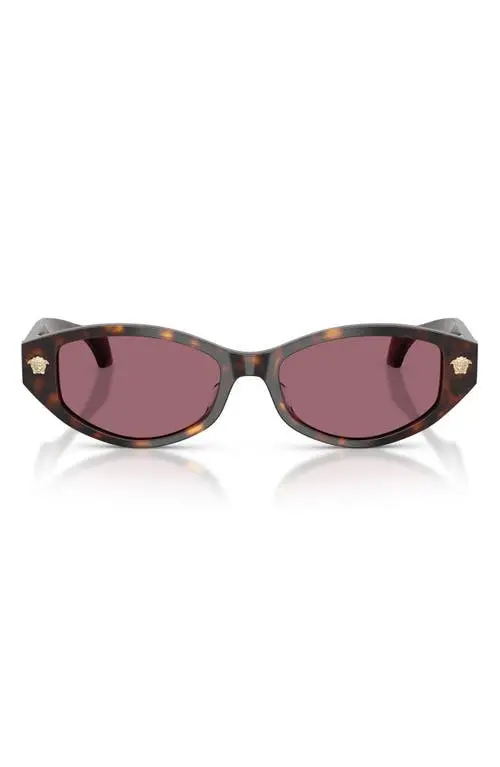Versace 54mm Cat Eye Sunglasses - Havana/violet