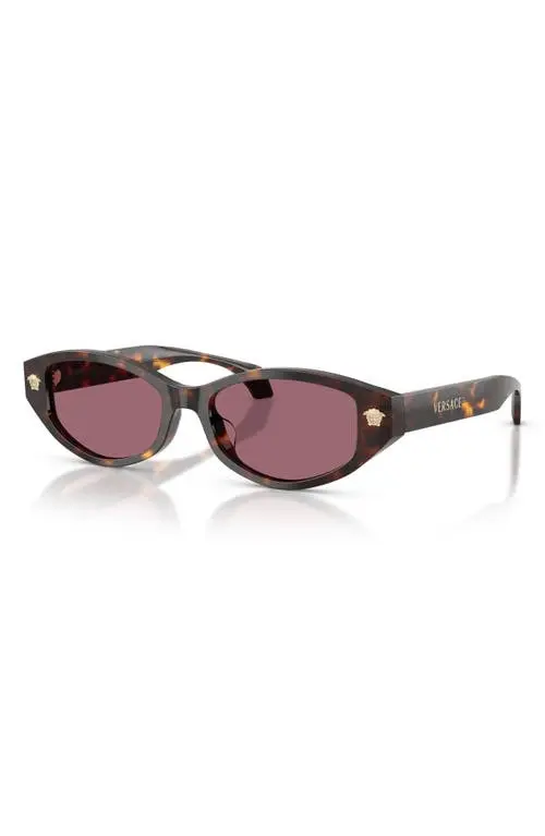 Versace 54mm Cat Eye Sunglasses - Havana/violet