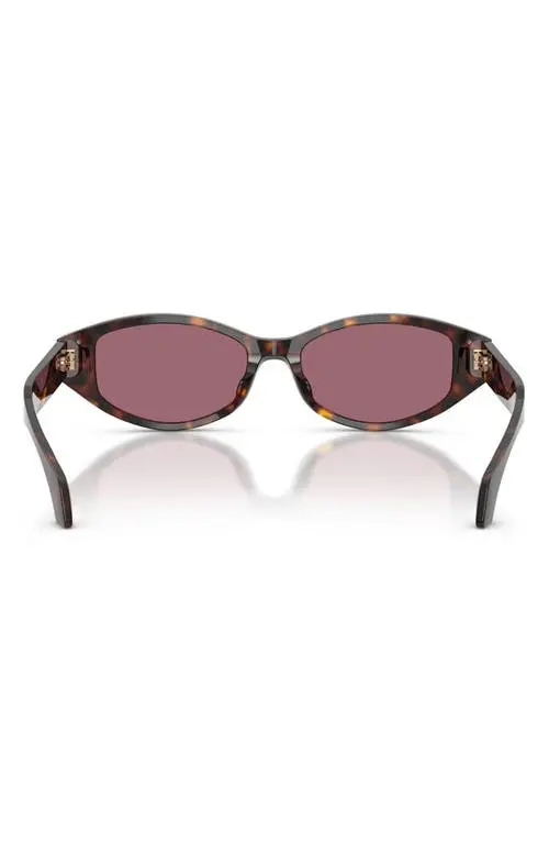 Versace 54mm Cat Eye Sunglasses - Havana/violet