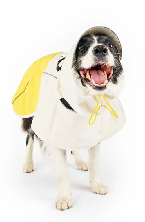 THE FURRYFOLKS Venture Pet Rain Jacket - Yellow
