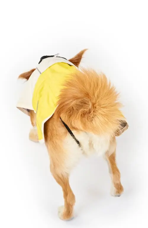 THE FURRYFOLKS Venture Pet Rain Jacket - Yellow