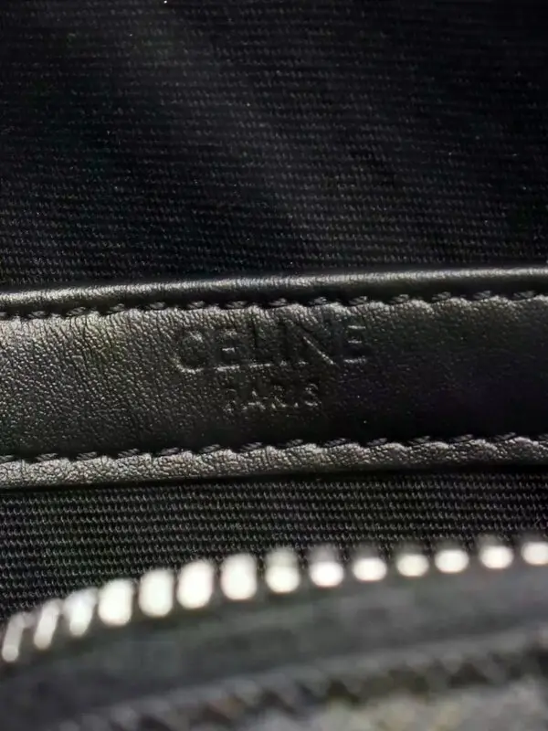 Celine 2021-2026 Triomphe Coated Canvas Multi Crossbody Bag - Black