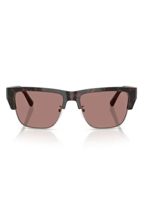 SCUDERIA FERRARI 55mm Square Sunglasses - Havana Burgundy/brown