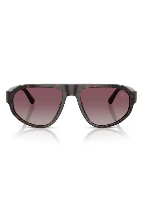 SCUDERIA FERRARI 57mm Polarized Irregular Sunglasses - Havana Shiny Burgundy