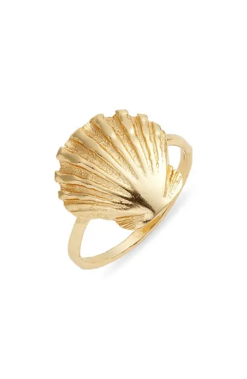 KIARA BY KI-ELE Sunrise Shell Ring - Gold