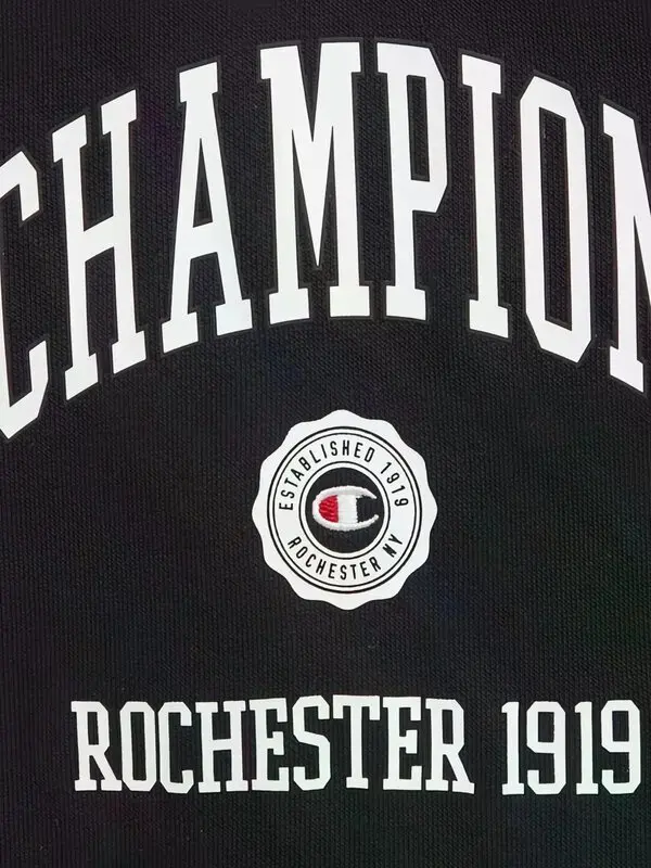 Champion Block Hooded Sweatshirt