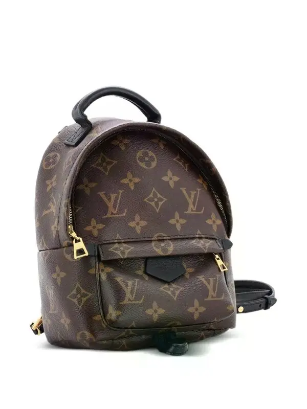 LOUIS VUITTON Palm Springs Monogram Canvas Mini Backpack - Brown
