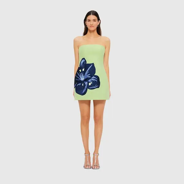 LEO LIN Roselle Embroidered Bustier Mini Dress - Hibiscus In Matcha