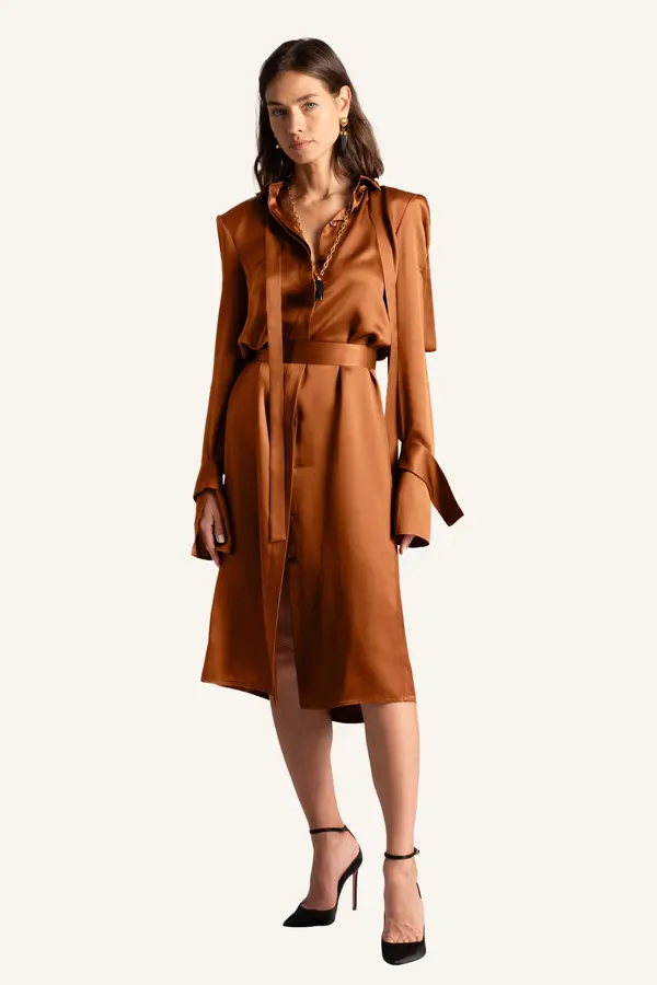 Aiste Hong Back Flap Shirt Dress - Brown