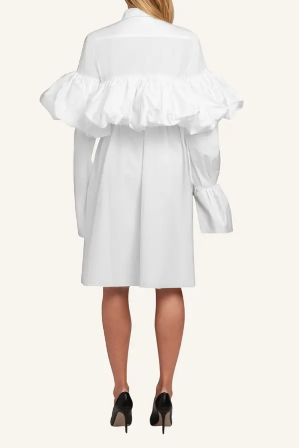 Aiste Hong Gathered Tie-neck Shirt Dress