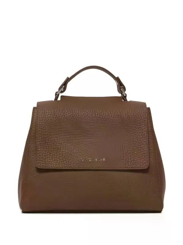 ORTIGNI Small Sveva Tote Bag - Brown