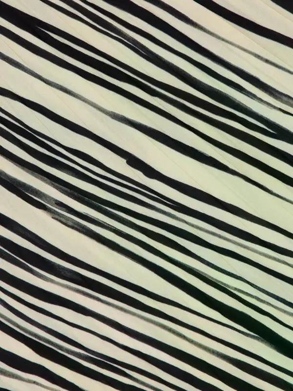 Proenza Schouler Striped Pleated Dress