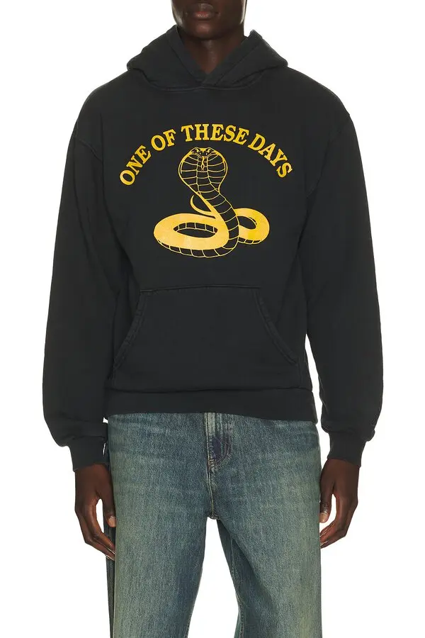 ONE OF THESE DAYS Cobra Pullover Hoodie - Washed Black