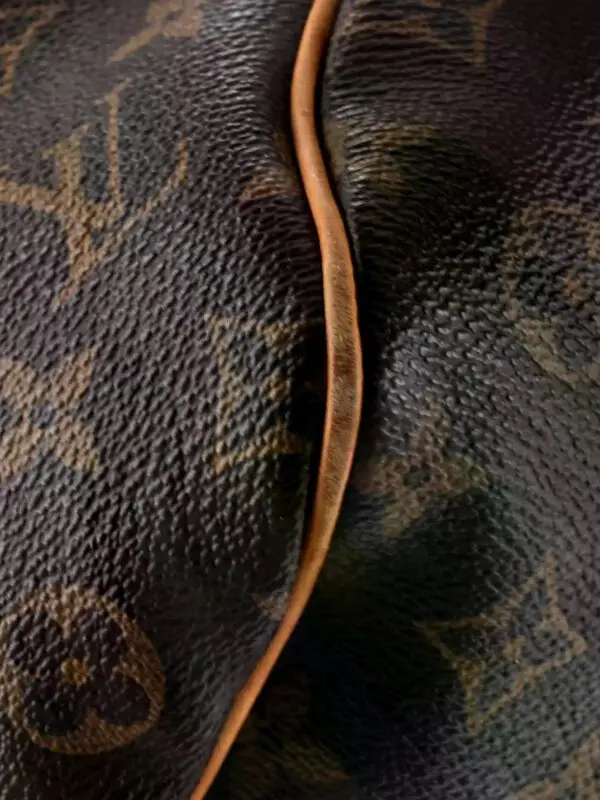 LOUIS VUITTON Delightful Hobo Bag Monogram Canvas Pm