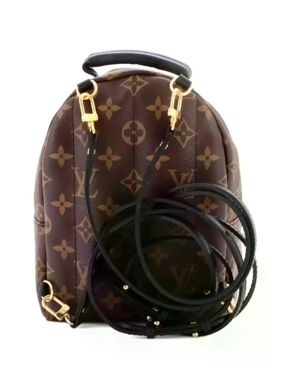 LOUIS VUITTON Palm Springs Monogram Canvas Mini Backpack - Brown