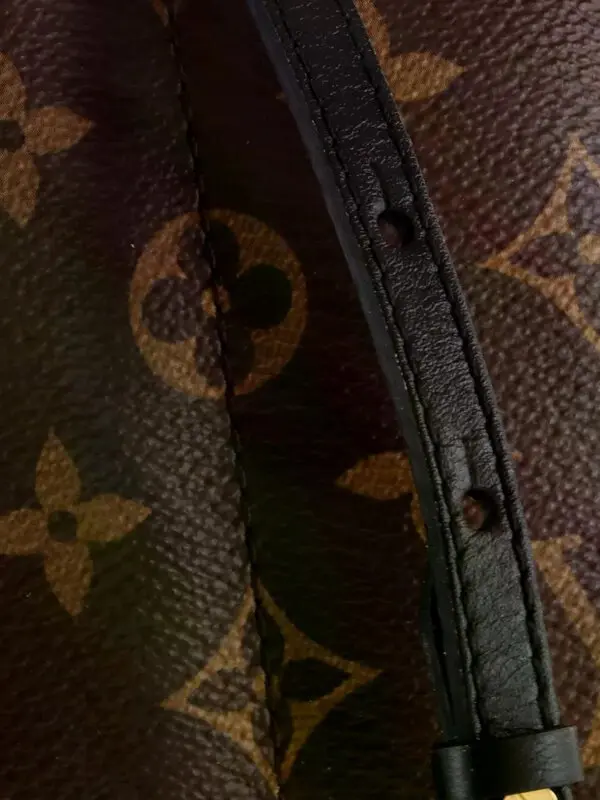 LOUIS VUITTON Palm Springs Monogram Canvas Mini Backpack - Brown