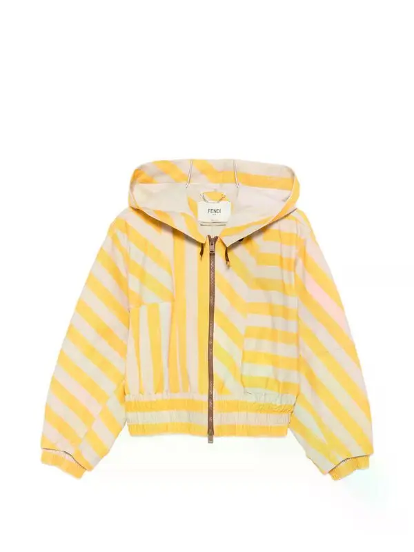 Fendi Striped Hooded Jacket - Yellow