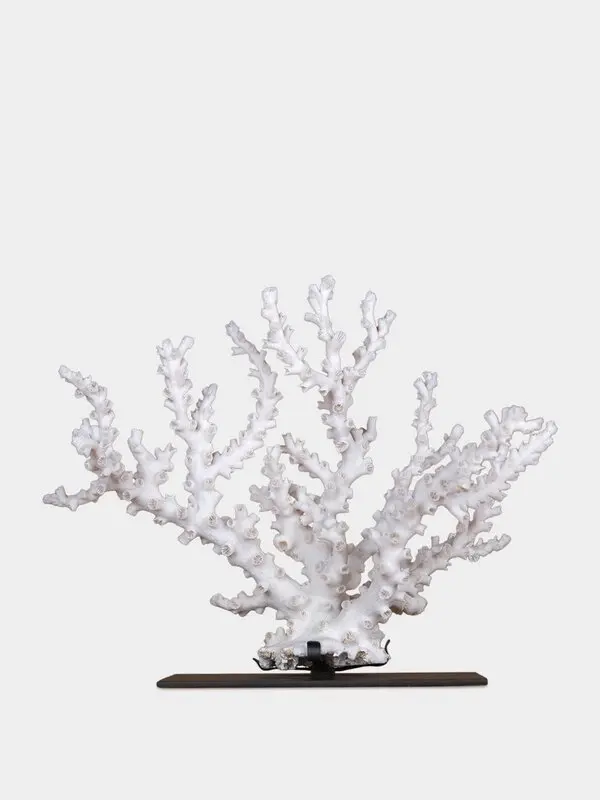 ONE OF A KIND Octopus Coral On Brass Stand - White