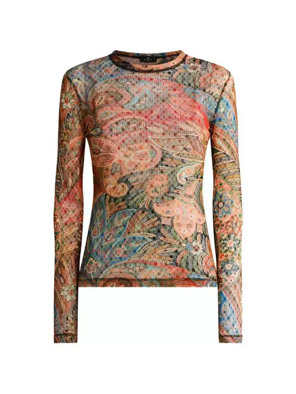 Etro Paisley Tulle Long-sleeve Top - Multicolour